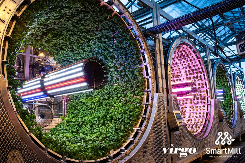 SmartMill et Technologies Virgo: la haute technologie au service de l’autonomie alimentaire ...